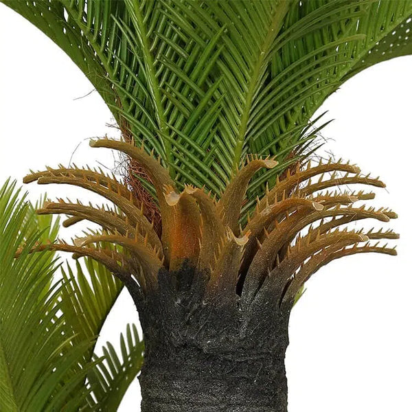 No Pot Multi Trunk Sago Cycad 130cm - Outdoors Lifestyle