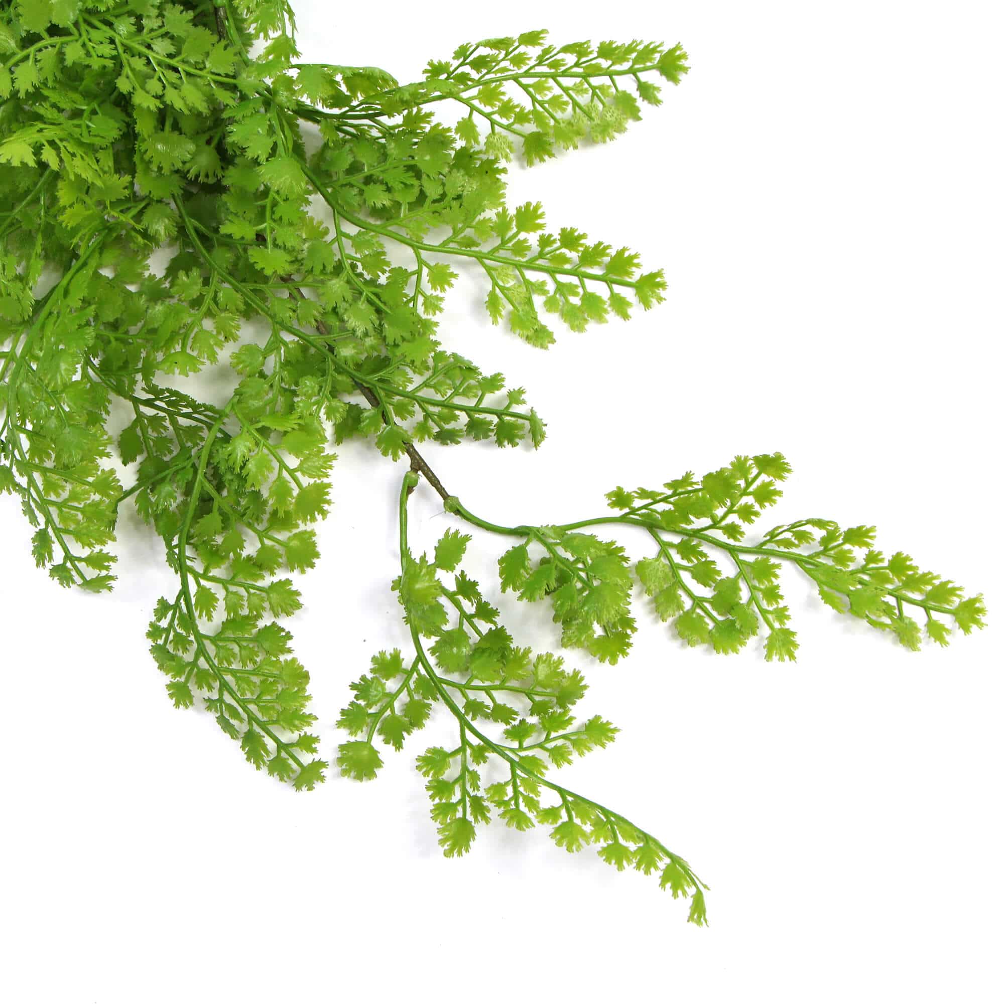 Hanging Native Green Dense Maiden Hair Fern Bush UV Resistant 80cm ...