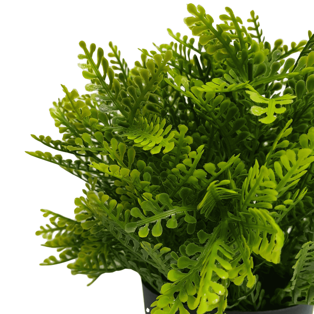 Small Potted Artificial Mimosa Fern UV Resistant 20cm - Outdoors Lifestyle